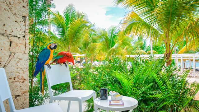 Emotions by Hodelpa Juan Dolio | Family Prime Vacations | Elite Collection