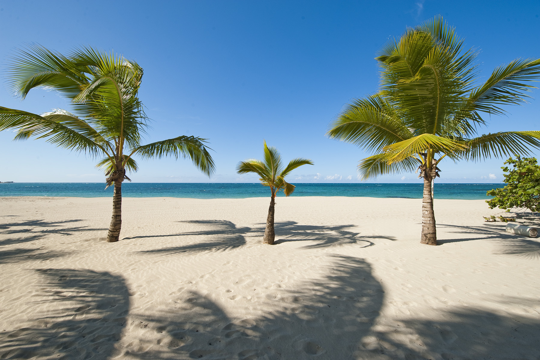 Beaches Galore! - Family Prime Vacations